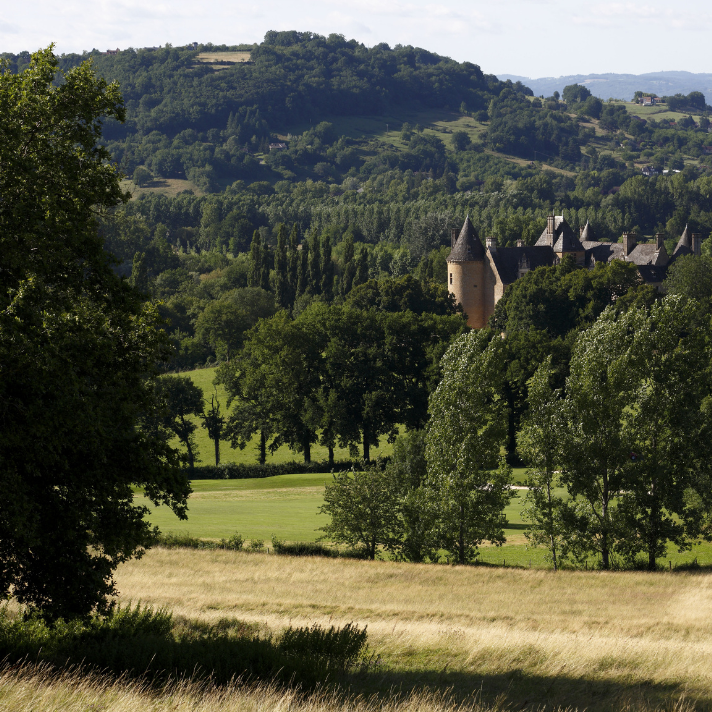 Histoire du château de Montal